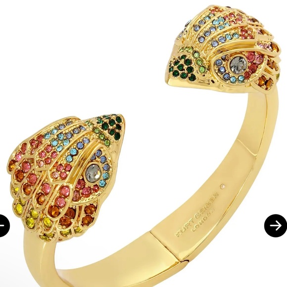 Kurt Geiger | Jewelry | Kurt Geiger Rainbow Crystal Eagle Hinged Bangle ...